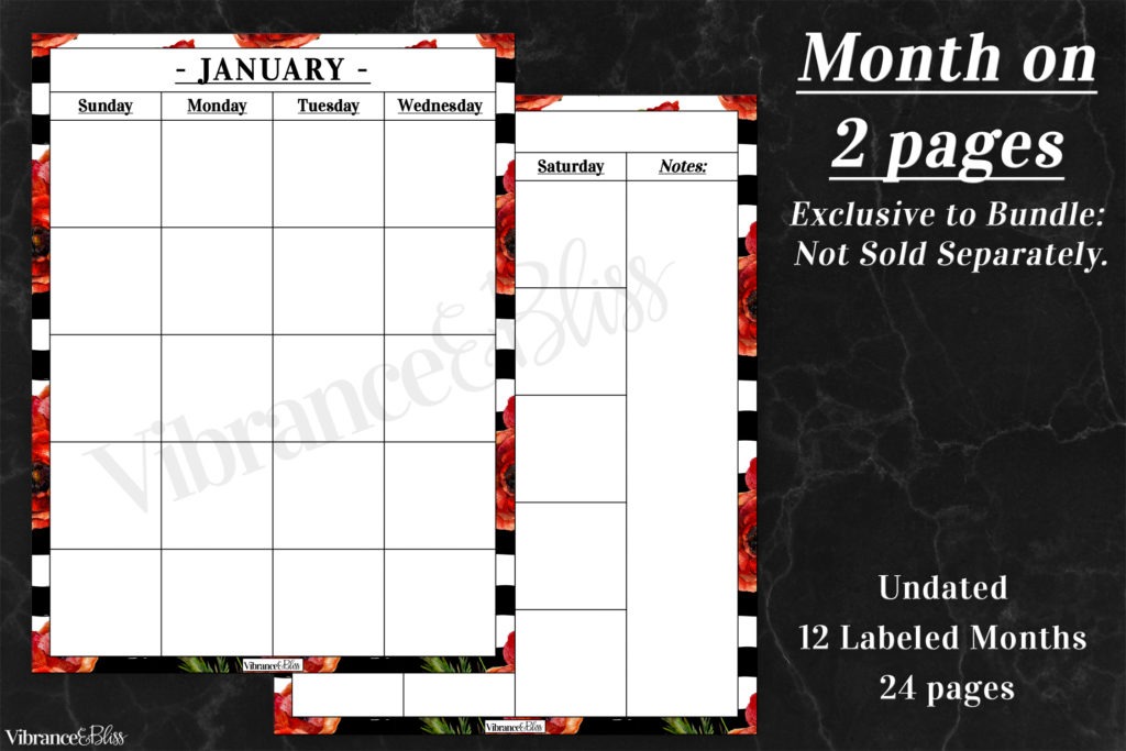 Daily Planner (2p) - Vibrance & Bliss